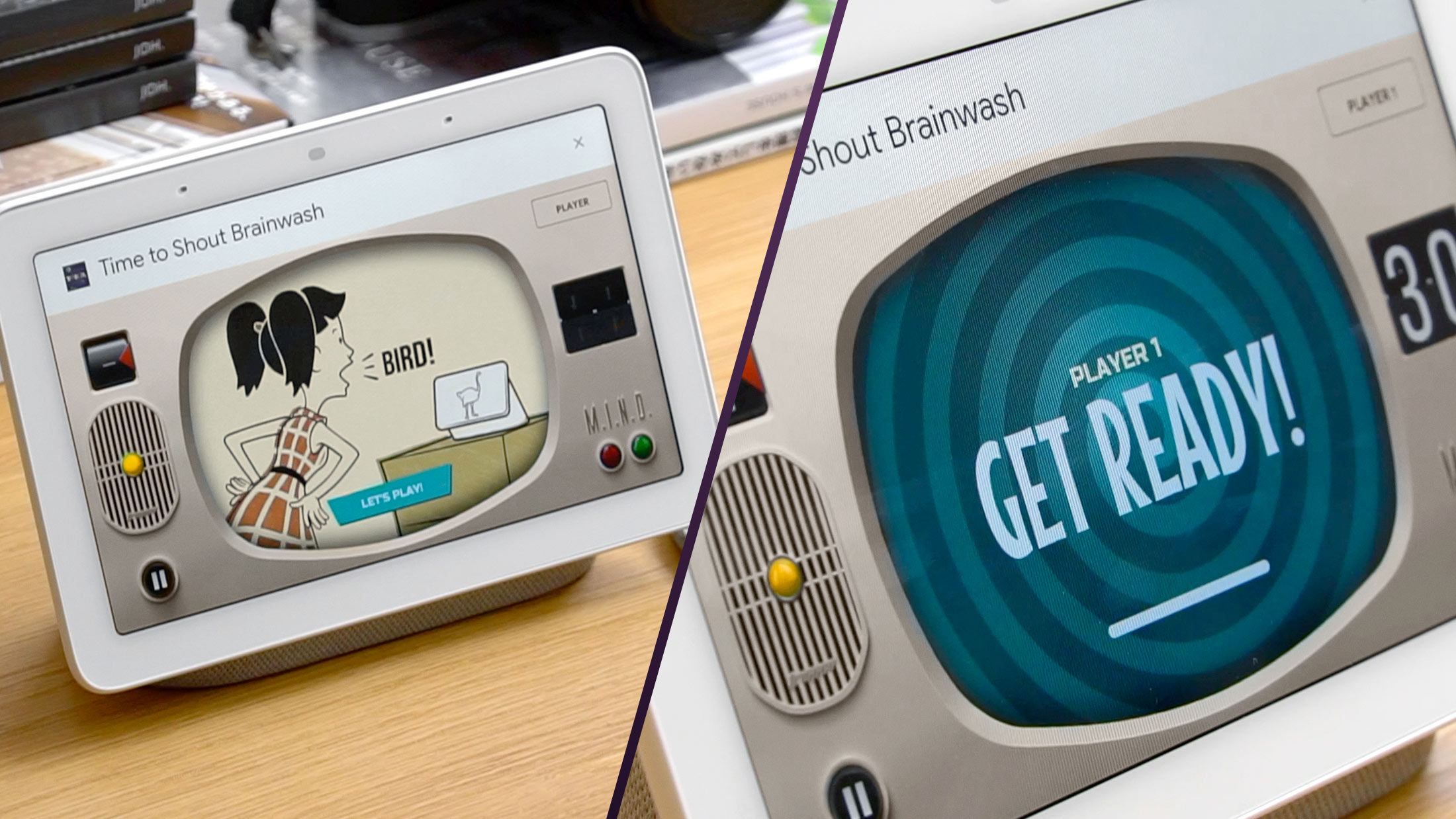 Google Home Project Brainwash